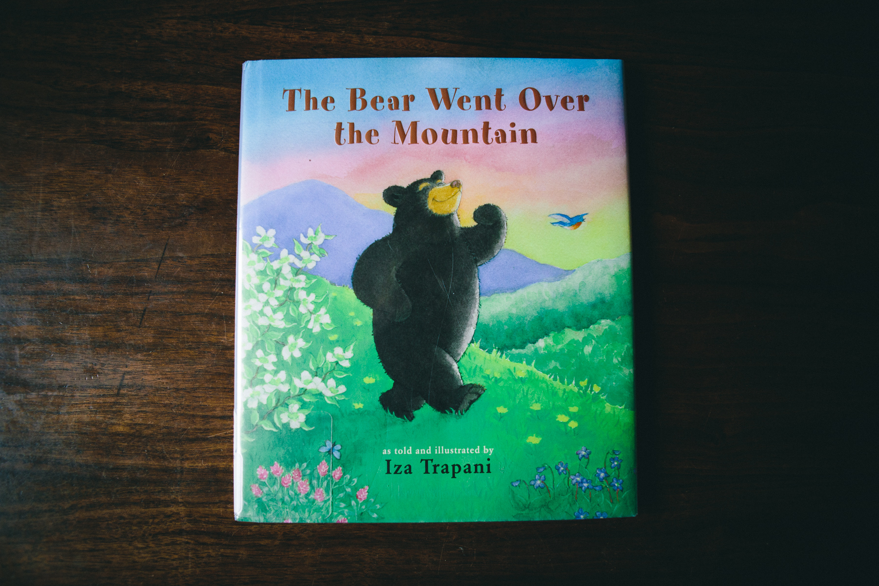Song and Book About Bears - Stacia Cumberland Music