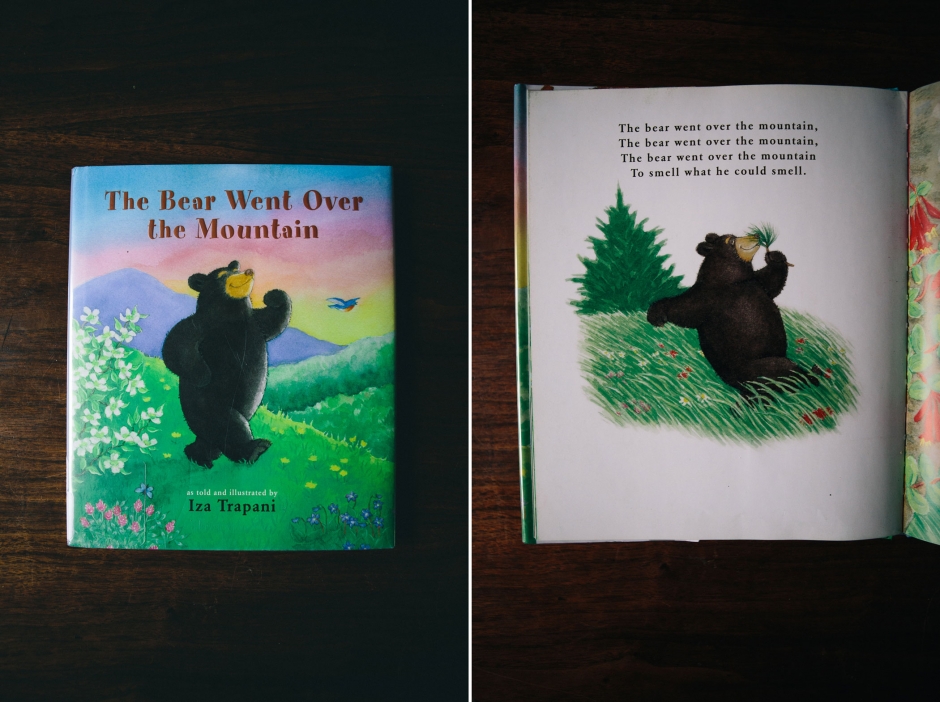 Song and Book About Bears - Stacia Cumberland Music